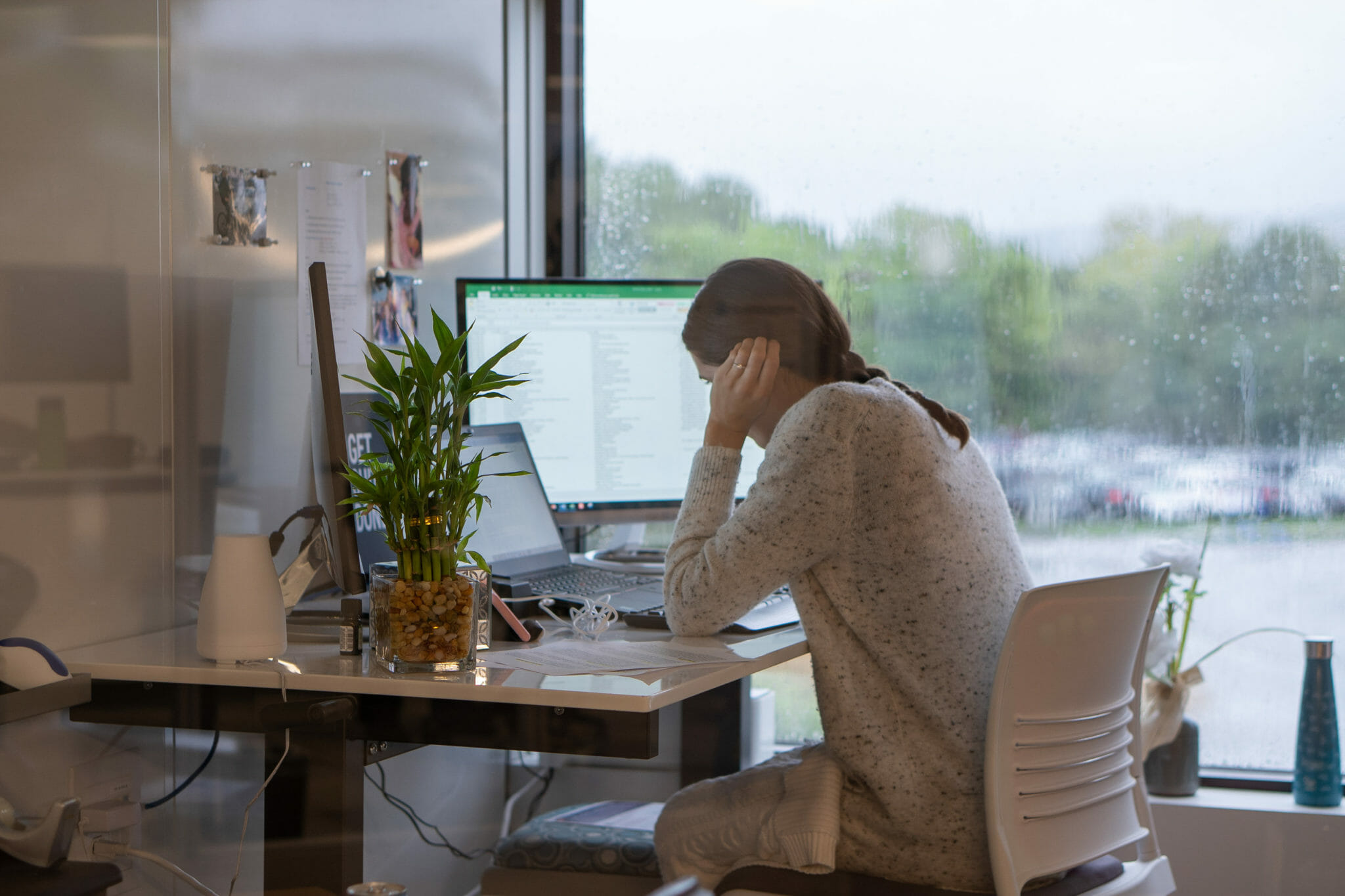 5 office plants that can reduce employee stress - The Predictive Index