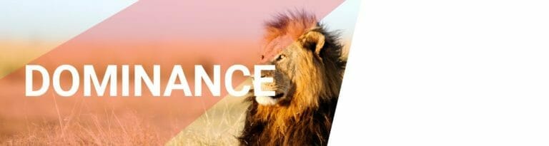 What drives us? Understanding personality in the workplace - The ...