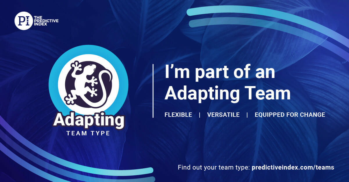 Adapting Team Type - PI Team Types - The Predictive Index