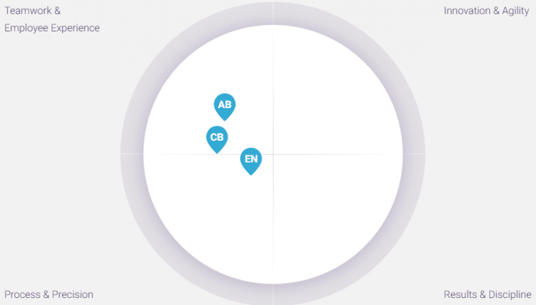 Individualists in a team - The Predictive Index